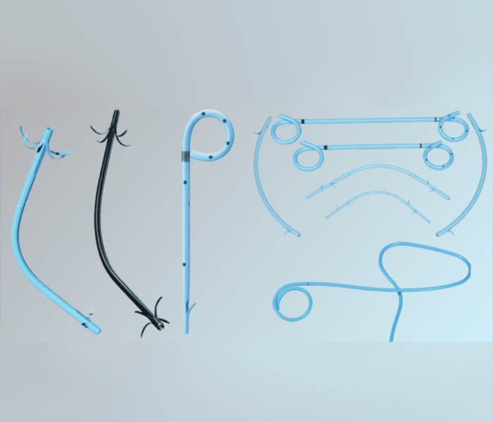 ENDOPYLOTOMY STENT – Endomed